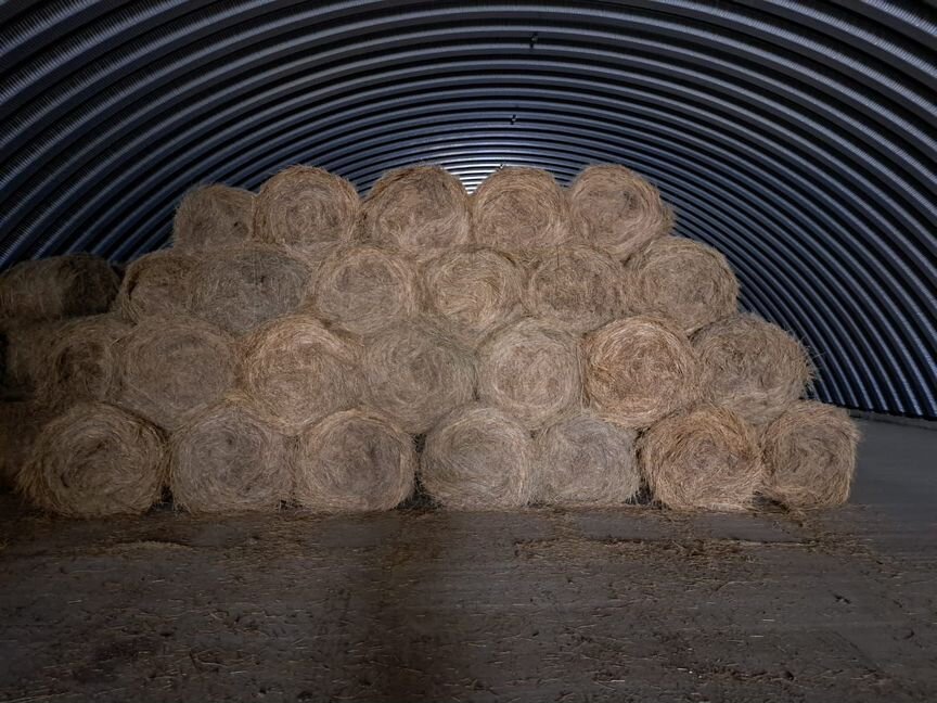 Сено в рулонах