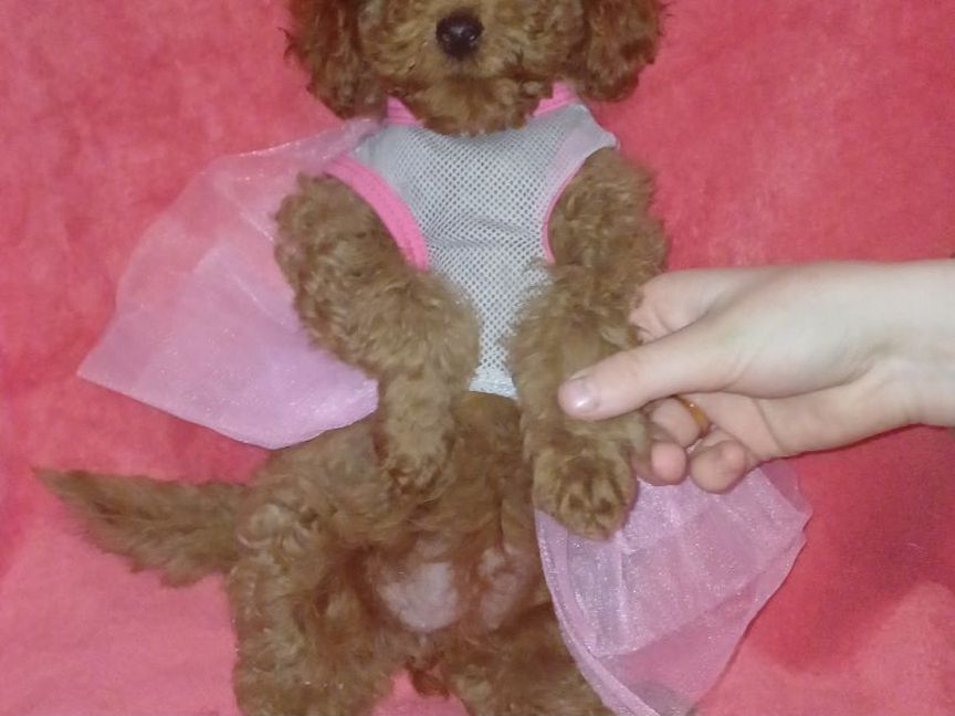 Очаровашка Милашка