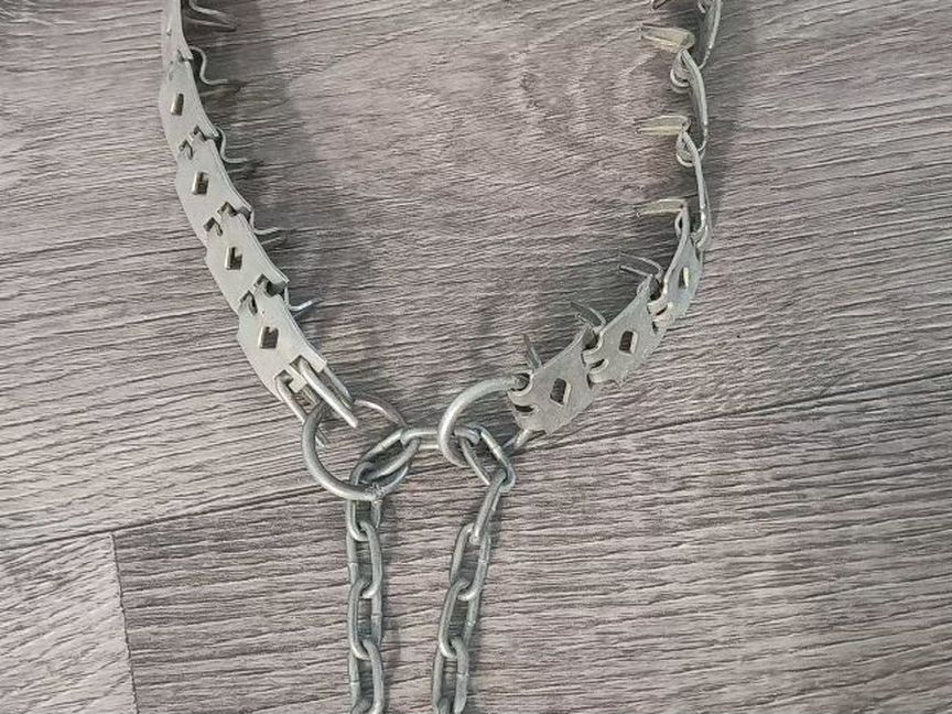 Строгий ошейник для собак