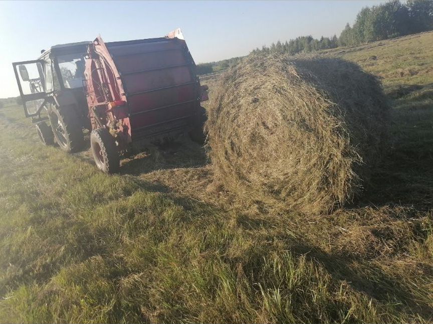 Сено зелёное 350 кг