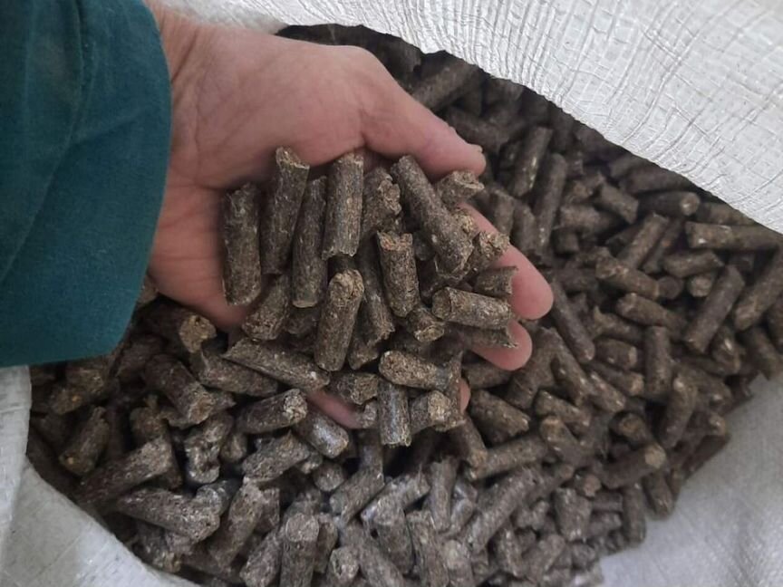 Жом свекловичный