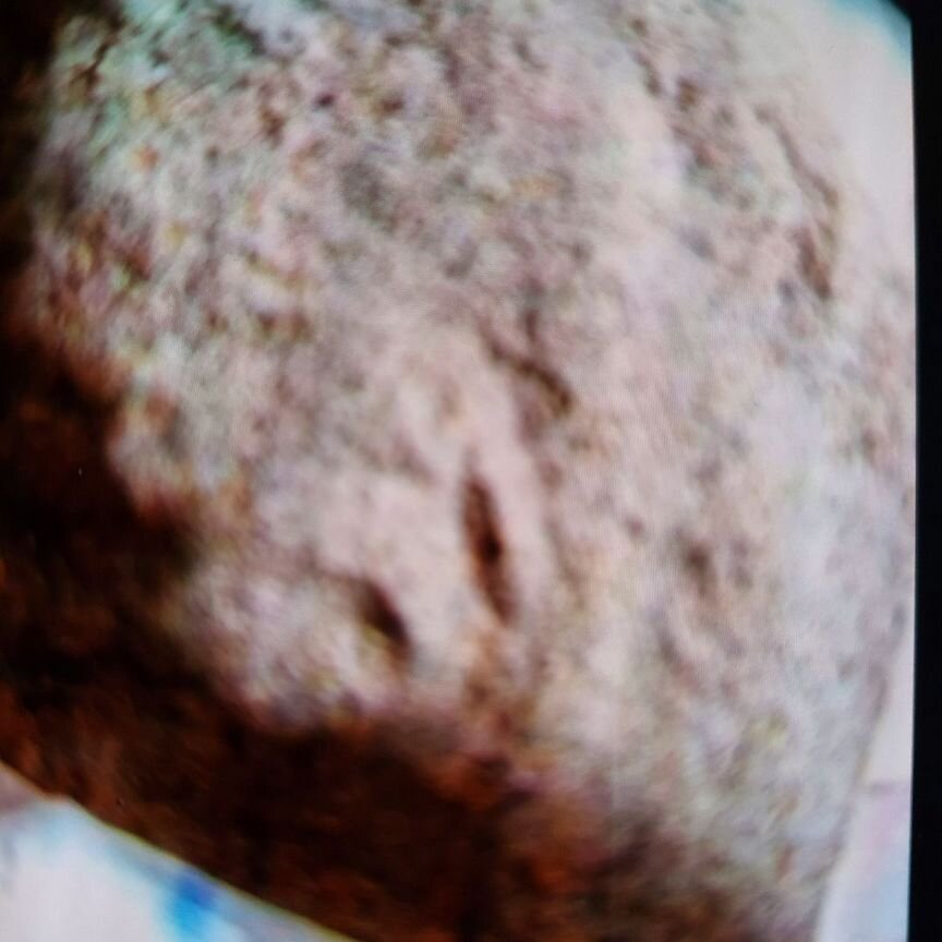 Ячмень дробленая