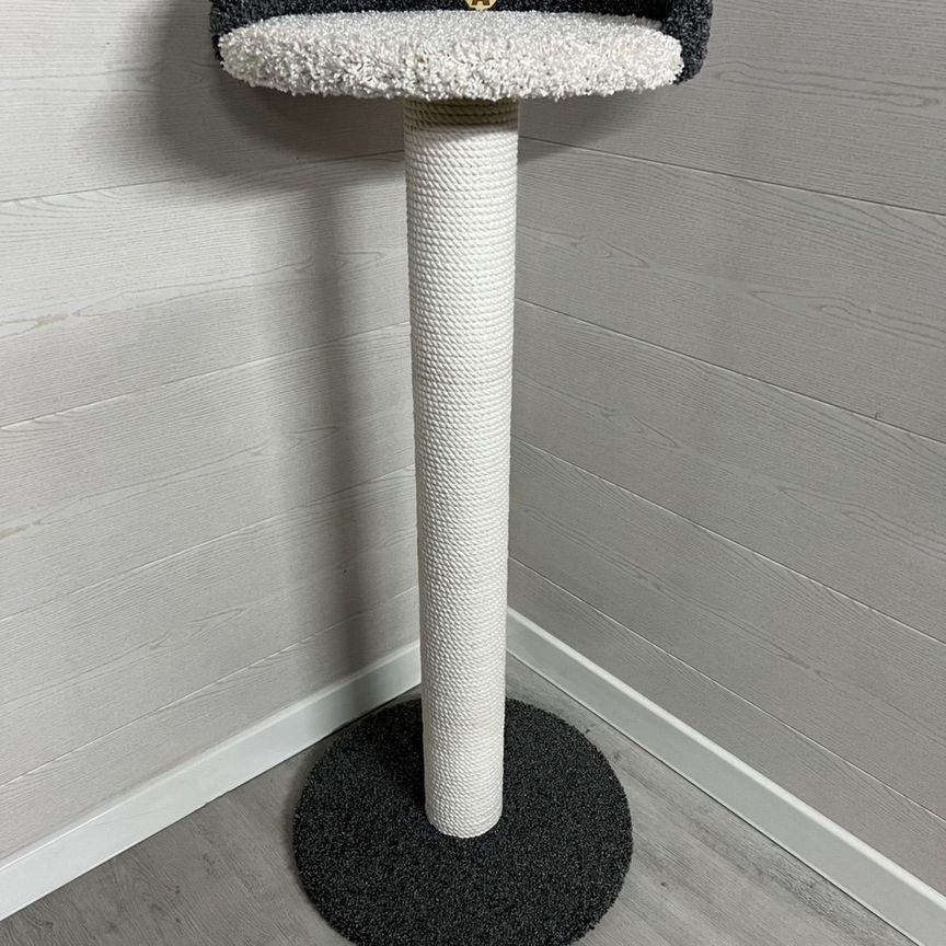 Когтеточка