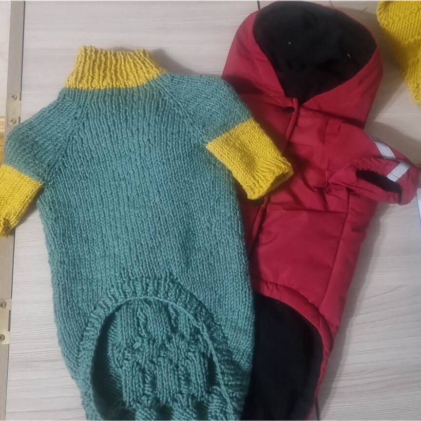 Одежда для собак мелких пород зима