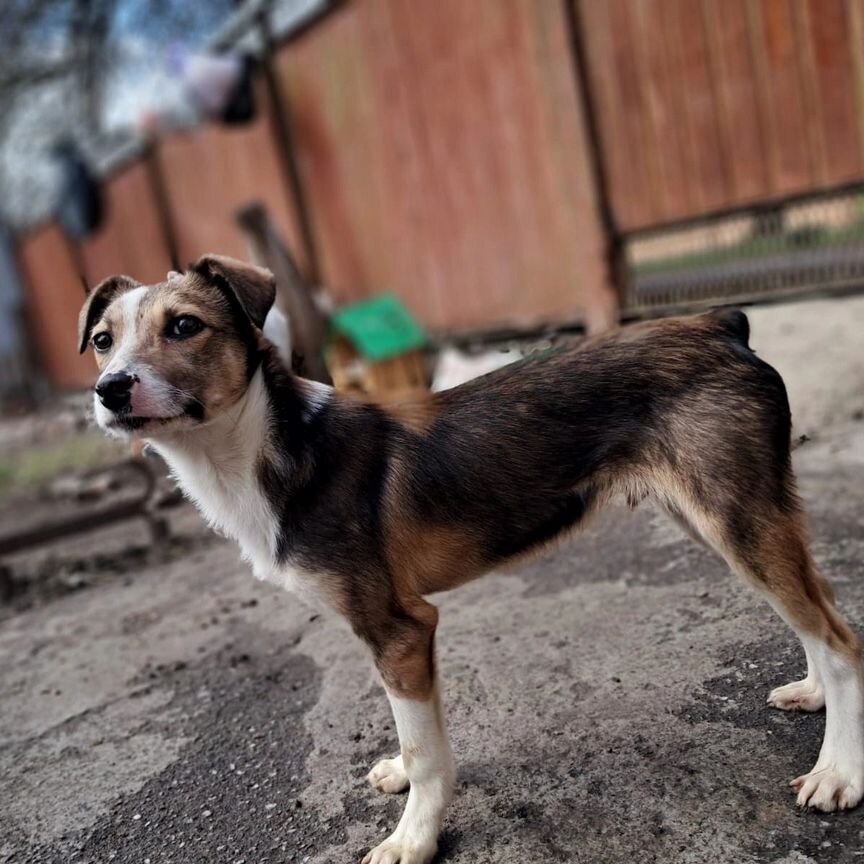 Мальчик ищет семью