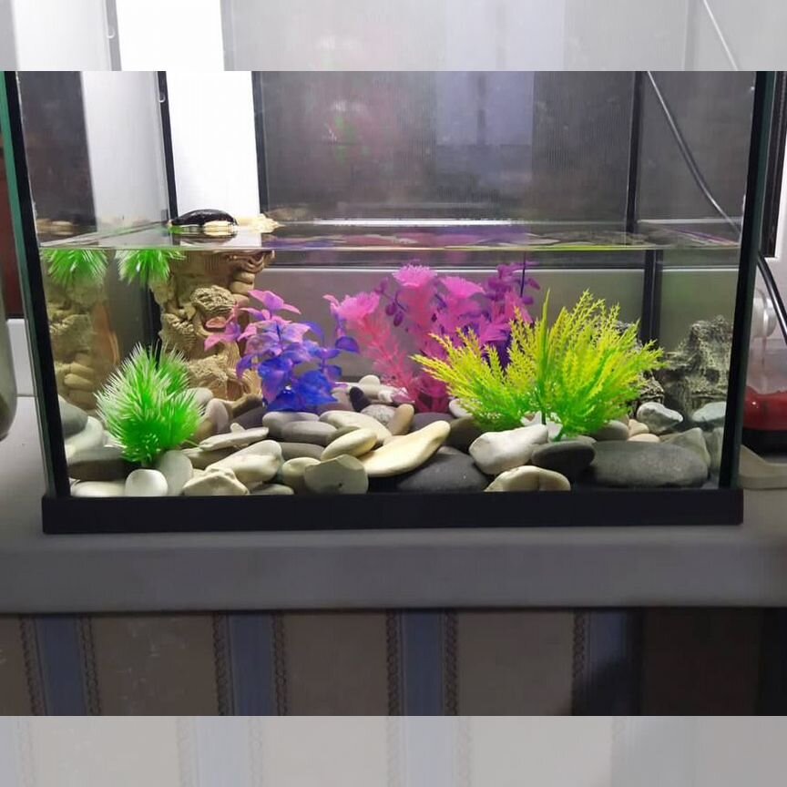 Аквариум с принадлежностями