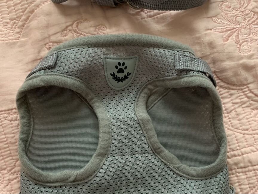 Шлейка для маленькой собаки или кошки