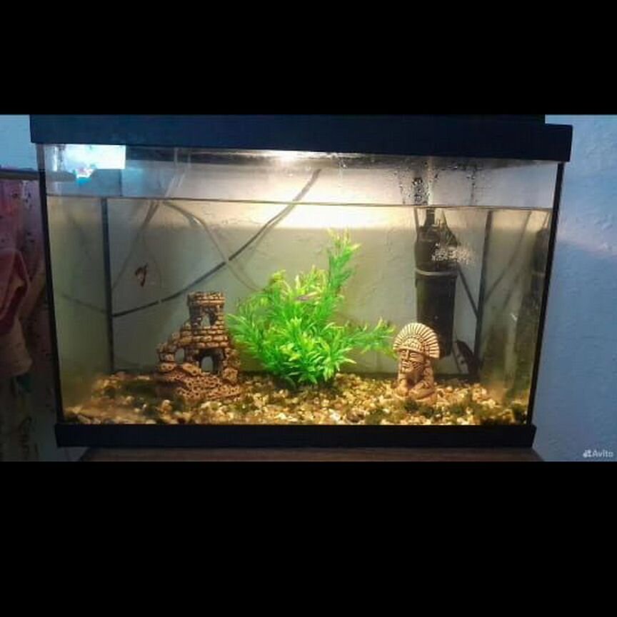 Аквариум с рыбками
