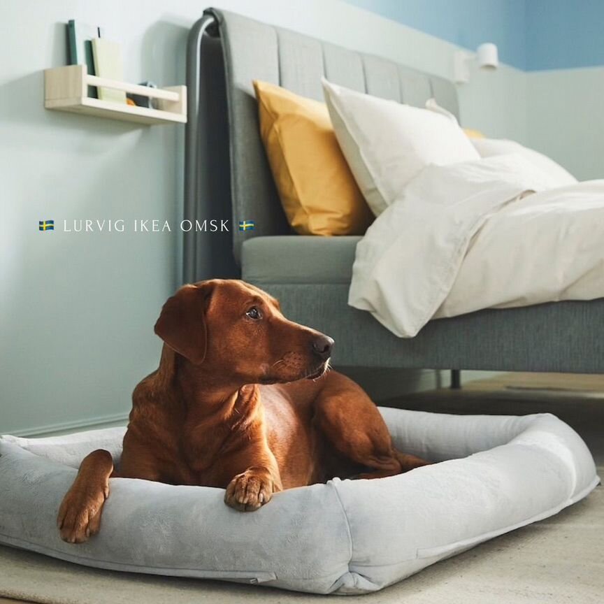Новая лежанка Лурвиг Lurvig и кость Бэстис IKEA