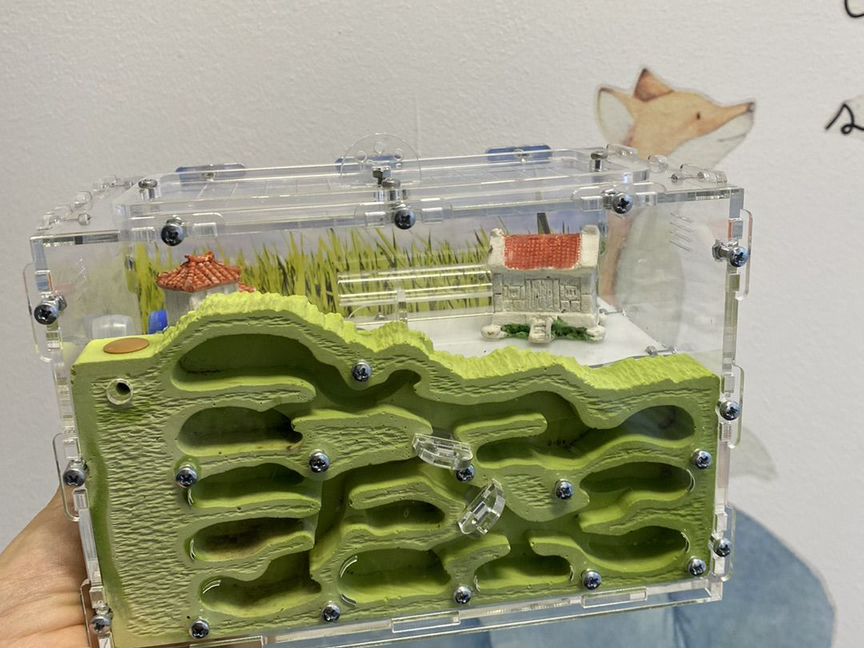 Формикарий (муравьиная ферма)