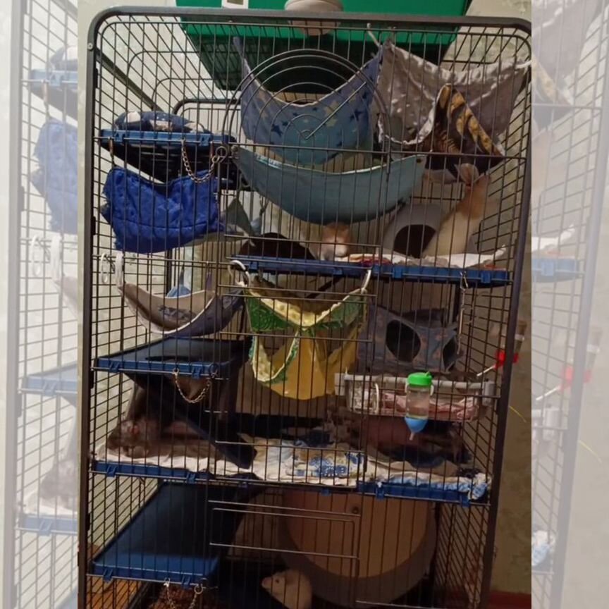 Клетка для грызунов Kredo D801, 79х52х139,5 см