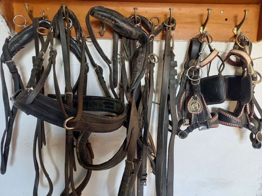 Сбруя параконная для лошади