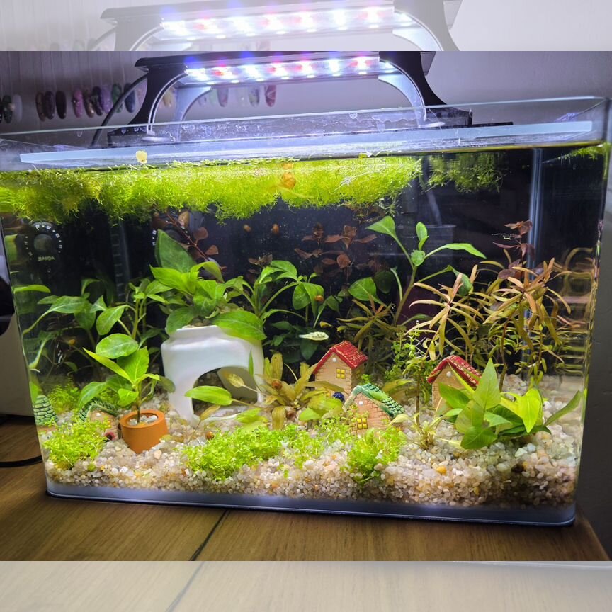 Готовый нано аквариум "Живой биом"16л