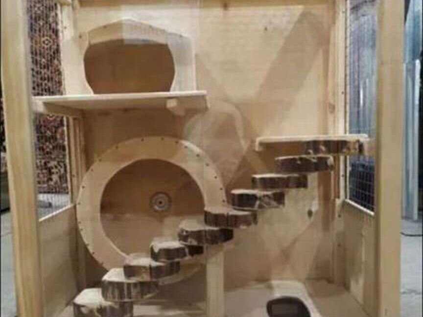 Витрина для шиншилы, дегу