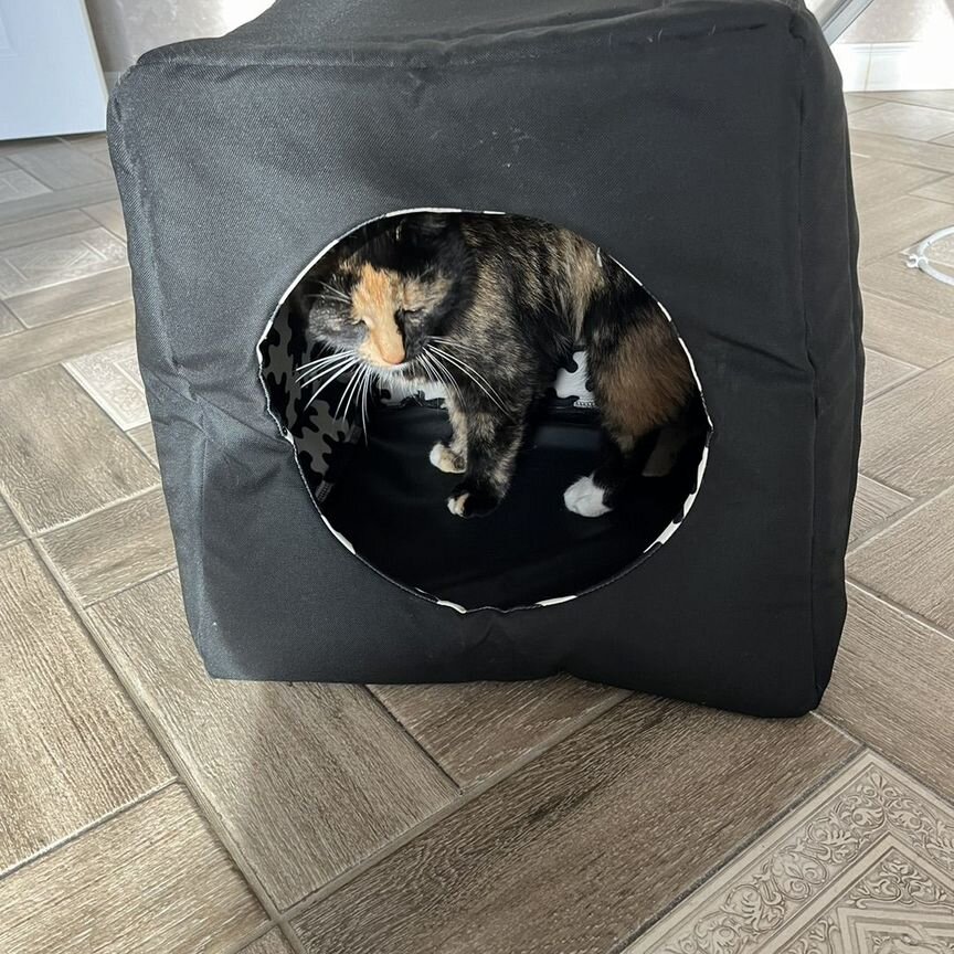 Кошкин домик