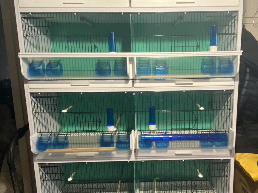 Боксы для птиц