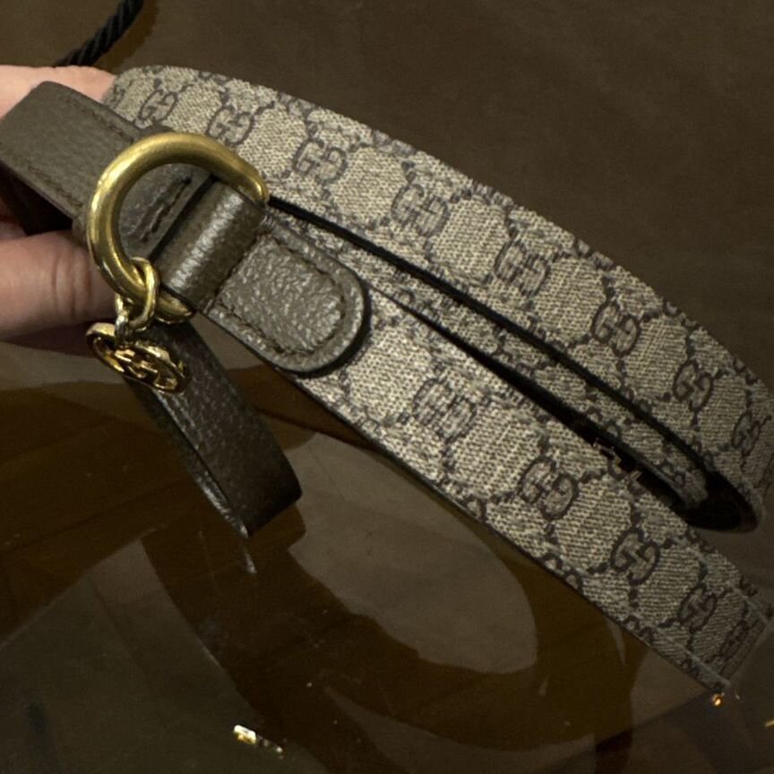 Поводок и ошейник Gucci для собак