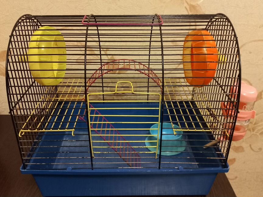 Клетка, поилки, кормушки и опилки для хомяка