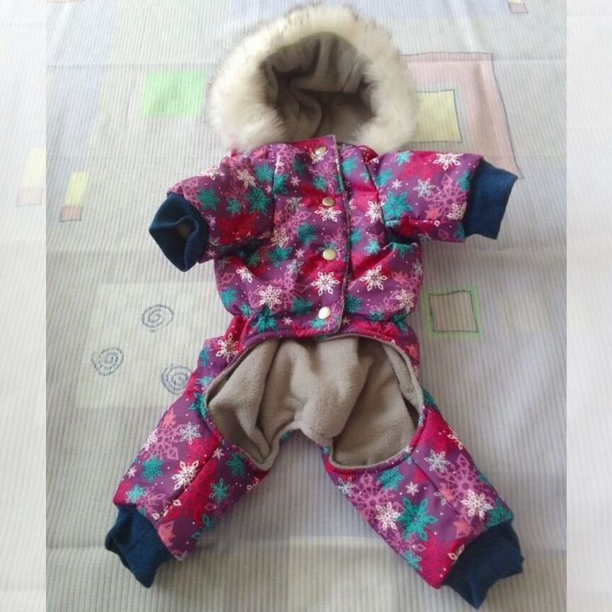 Костюм и обувь для собаки