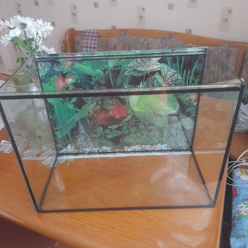 Аквариум 30 литров