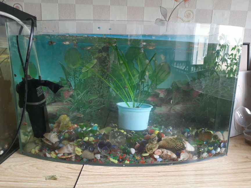 Аквариум 30л полусфера