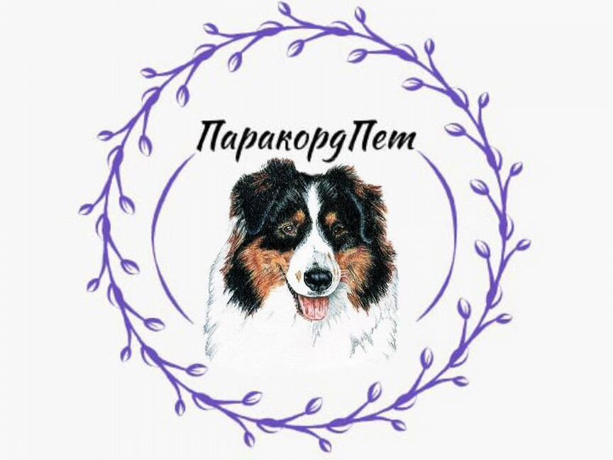Амуниция из паракорда для животных