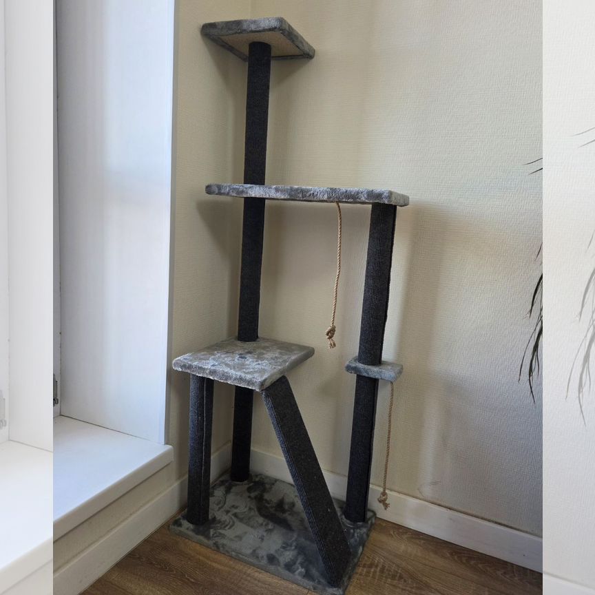 Когтеточка