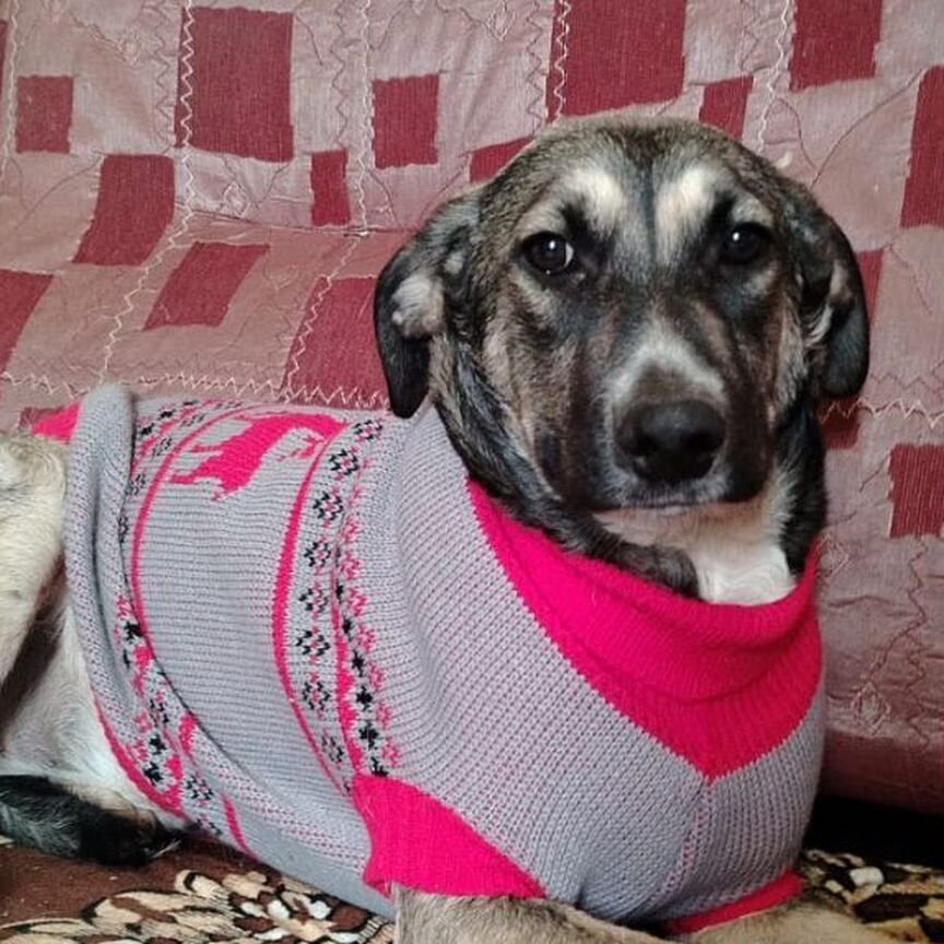 Мальчик по имени Тим 5 мес