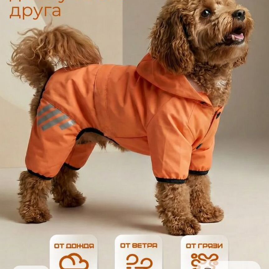 Одежда для маленьких собак