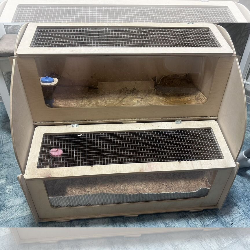 Стеллаж для морских свинок