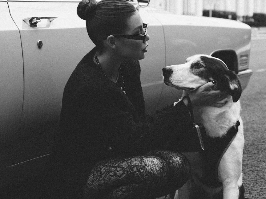 Невероятный Каспер ищет дом