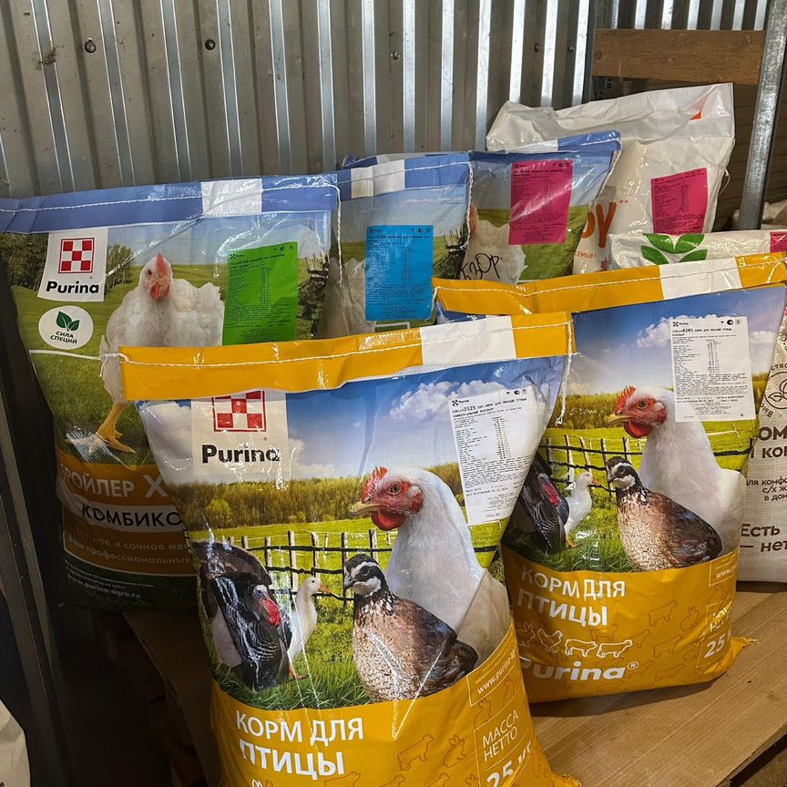 Комбикорм Purina