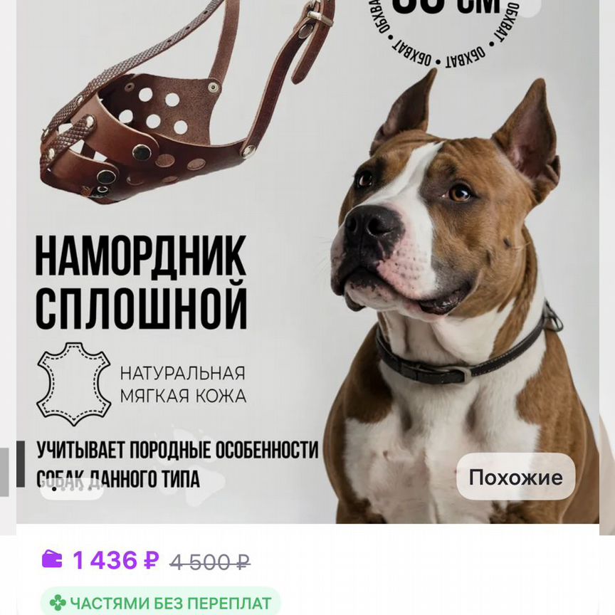 Намордник кожаный обхват 30см