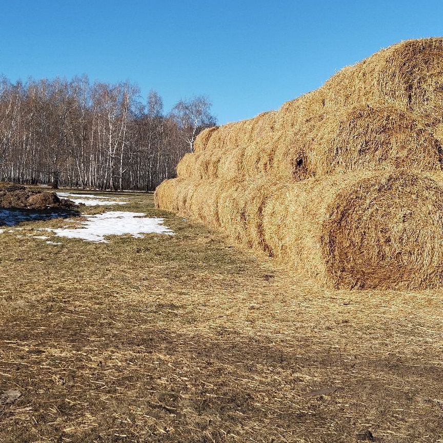 Солома в рулонах