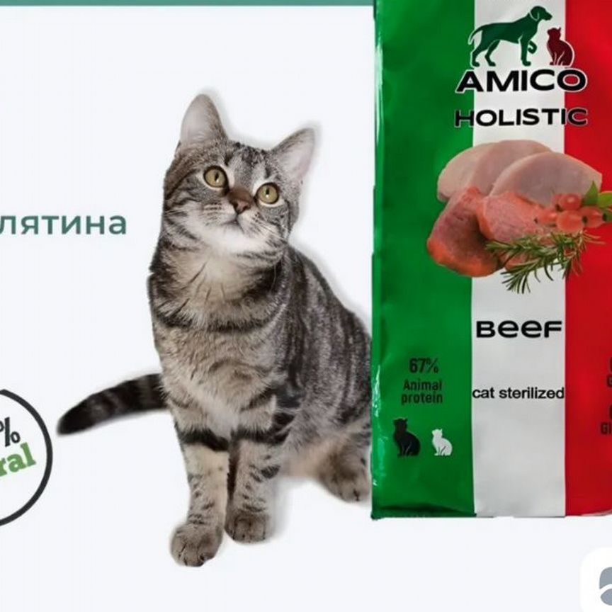 Корм для кошек