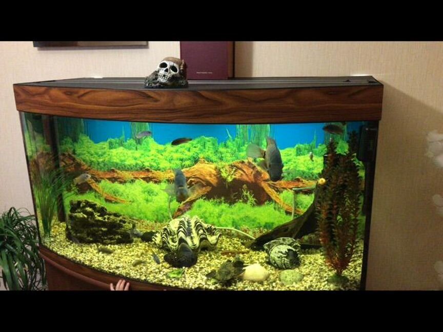 Аквариум с тумбой