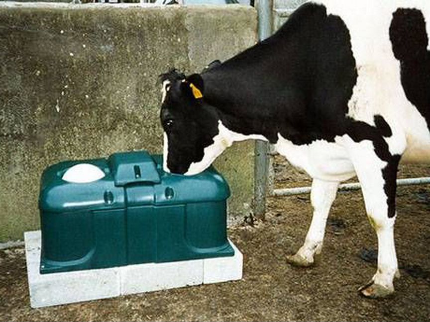 Поилка до 70 коров автоматическая мячиковая