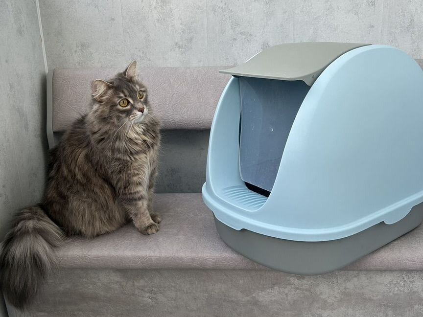 Лоток для кошек большой с крышкой закрытый дом