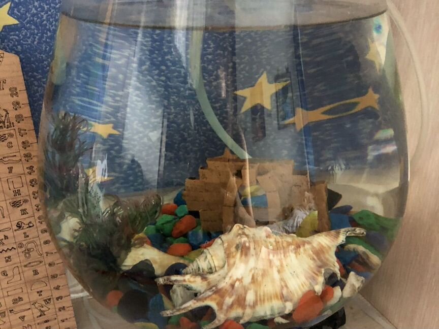 Аквариум на 6 литров