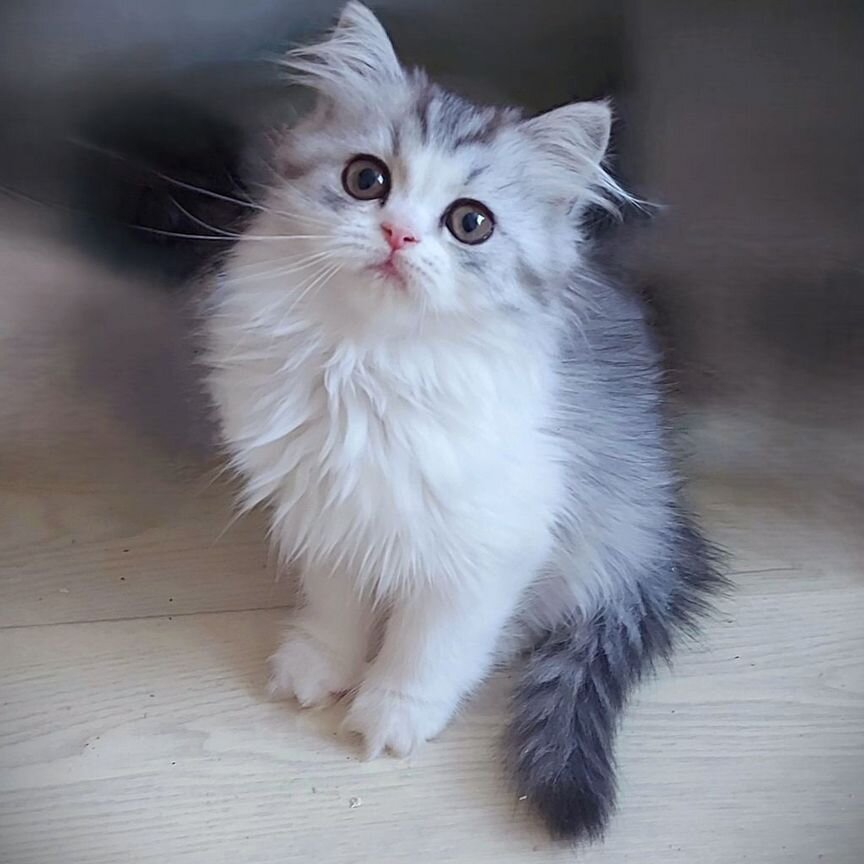 Серебристая девочка