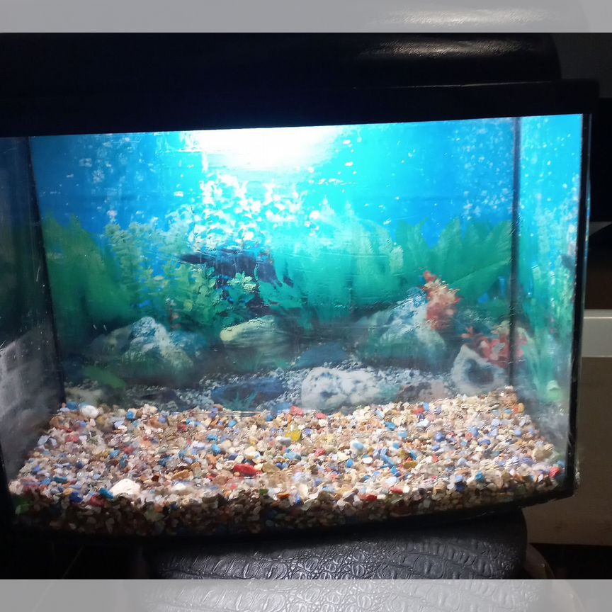 Аквариум с крышкой и подсветкой