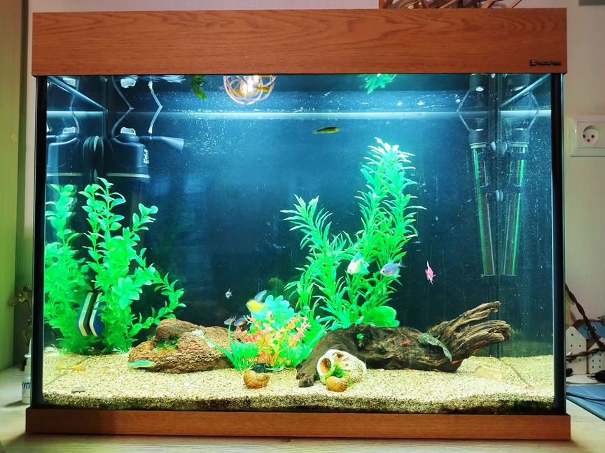 Аквариум AquaPlus 100л с фильтром, светом