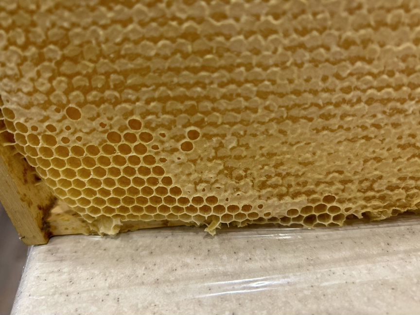 Рамки с вощиной