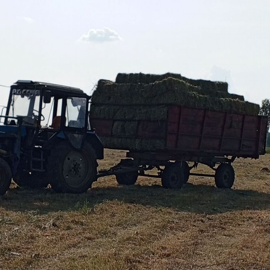 Продам сено в квадратных тюках