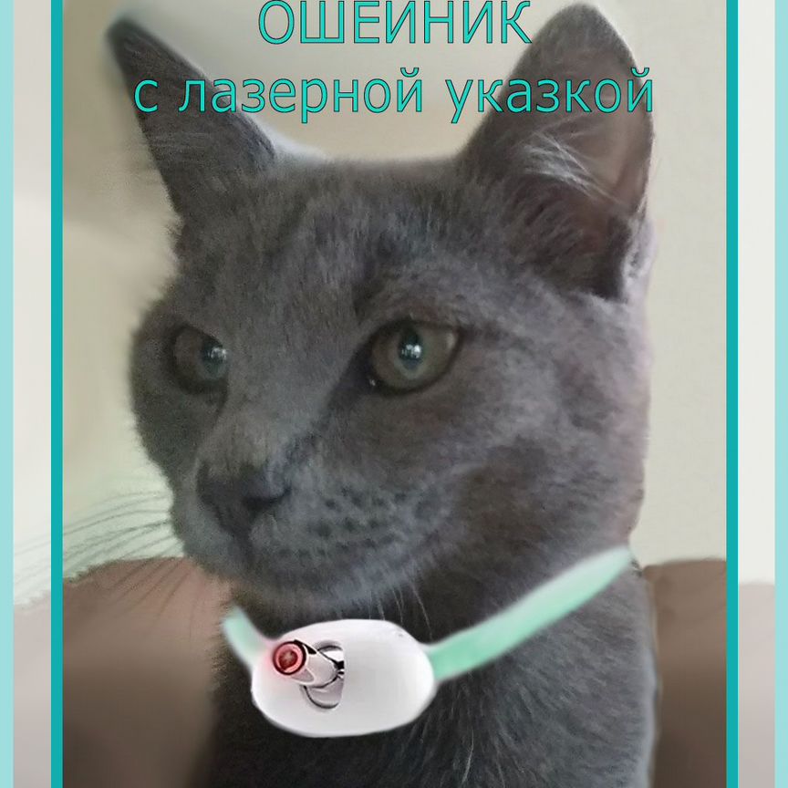 Игрушки для животных