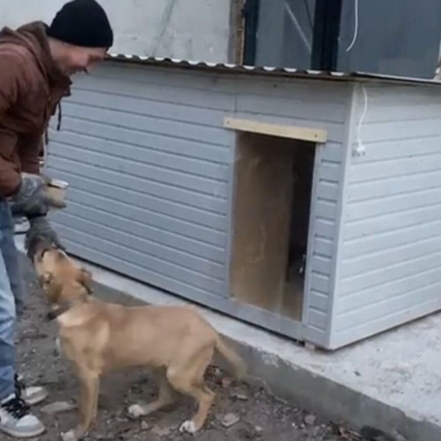 Будка для немецкой овчарки