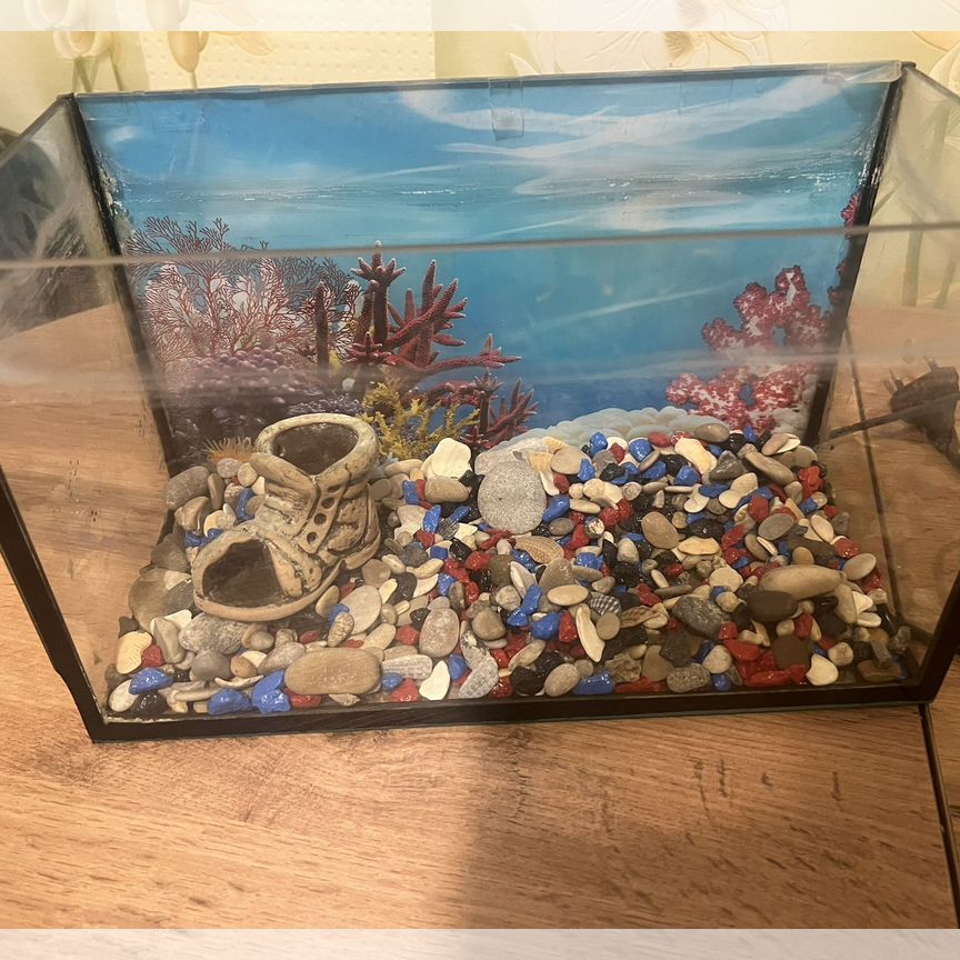 Аквариум для петушка