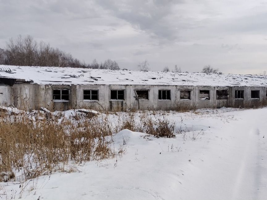 Животноводческая ферма продаю