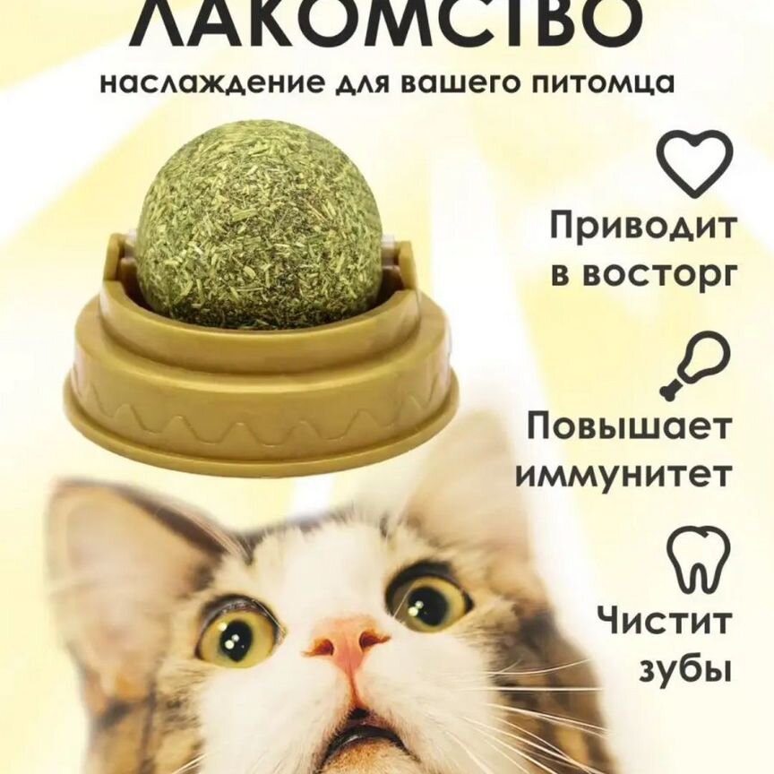 Кошачья мята