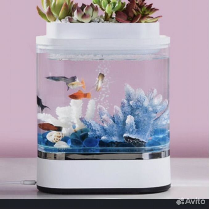 Акваферма xiaomi мини аквариум